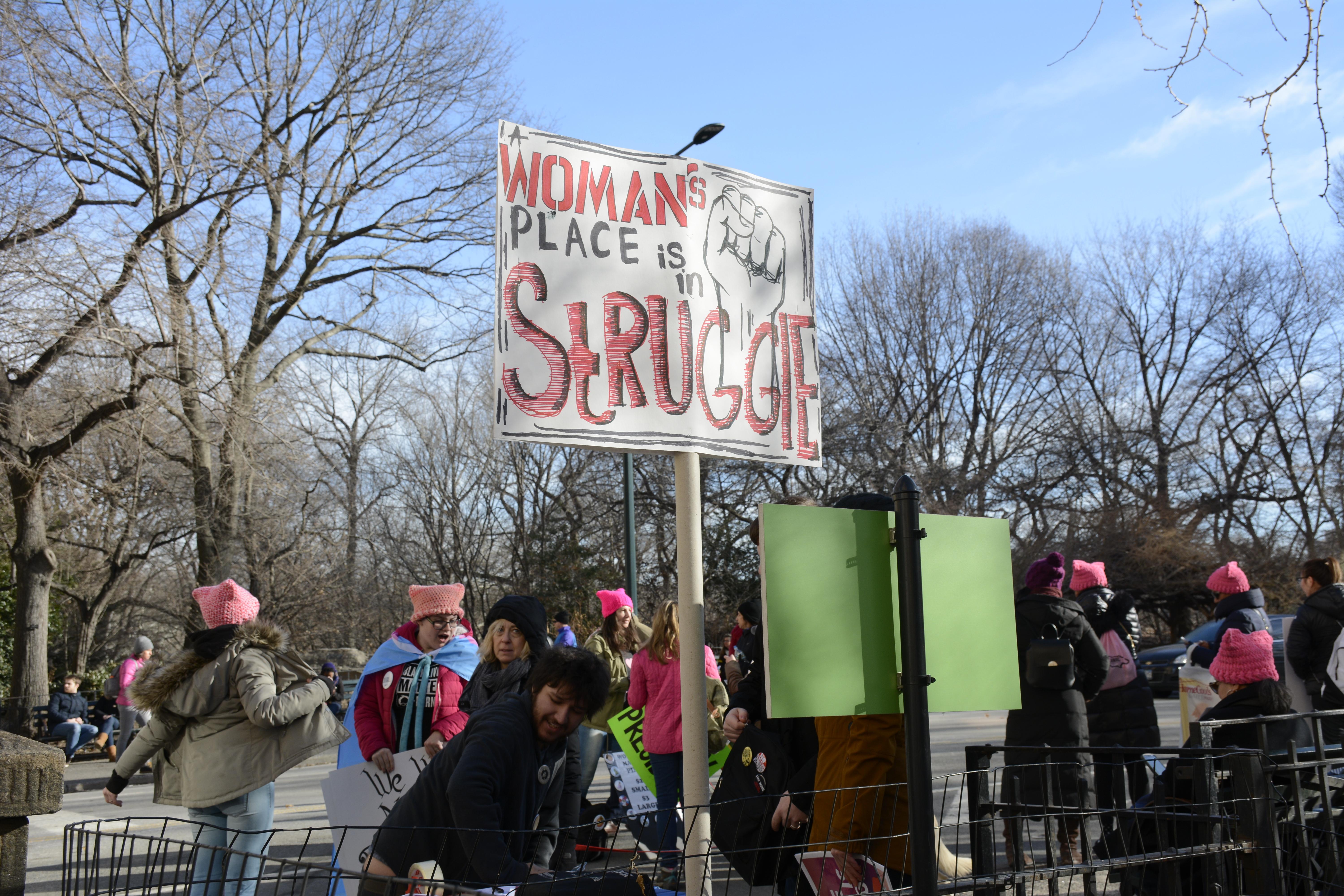 Local 375, DC 37, AFSCME Participated in Women's March | Local 375 ...